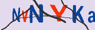 Safe Following Distances in all Types of Weather | A1 Driving School