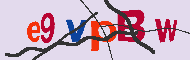 Safe Following Distances in all Types of Weather | A1 Driving School